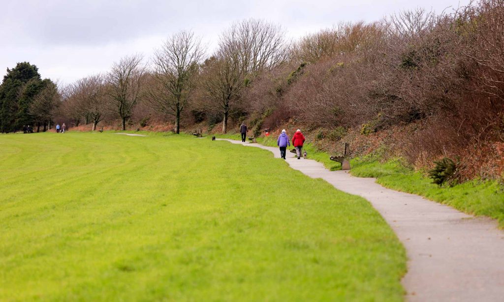 Contact Us - Haverfordwest Racecourse