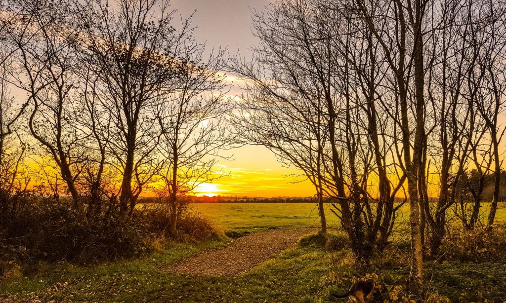 History of Haverfordwest Racecourse 1 - Haverfordwest Racecourse